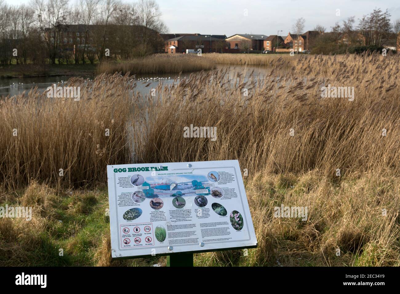Chase farm hi-res stock photography and images - Alamy