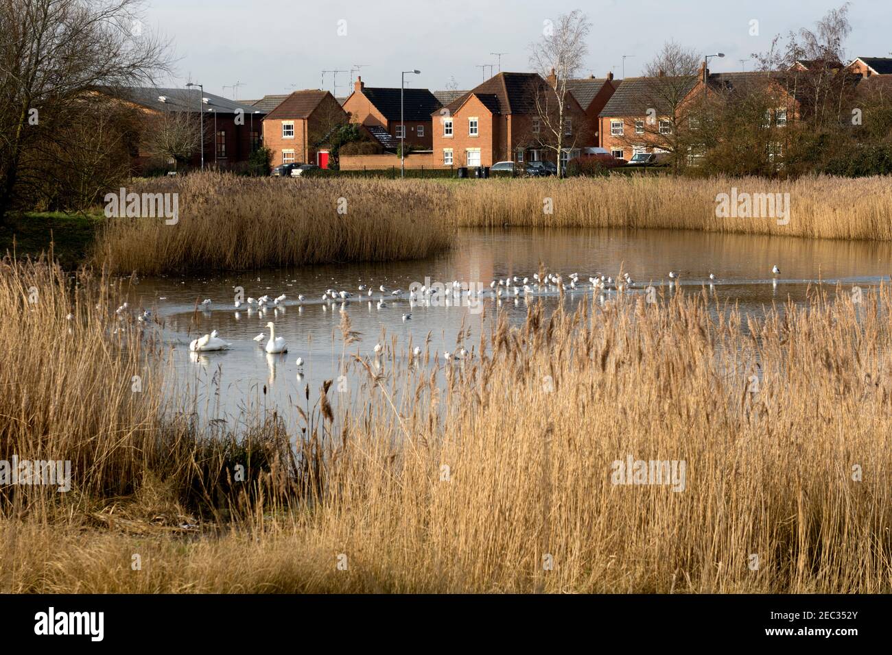 Gog brook farm hi-res stock photography and images - Alamy