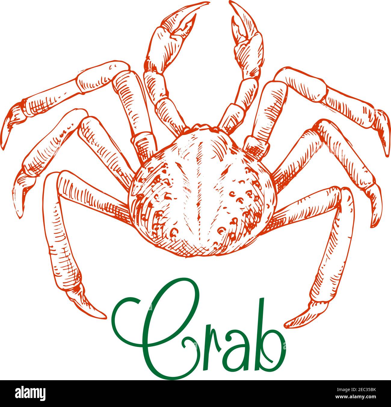 Japanese snow crab sketch symbol with rounded body and long thin legs ...