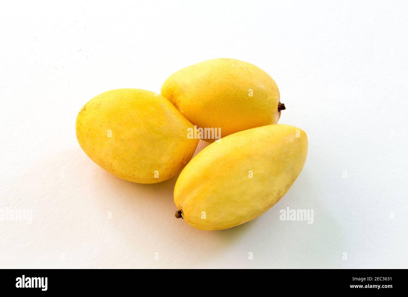 Yellow mango isolated on white background. Ripe golden mango studio ...