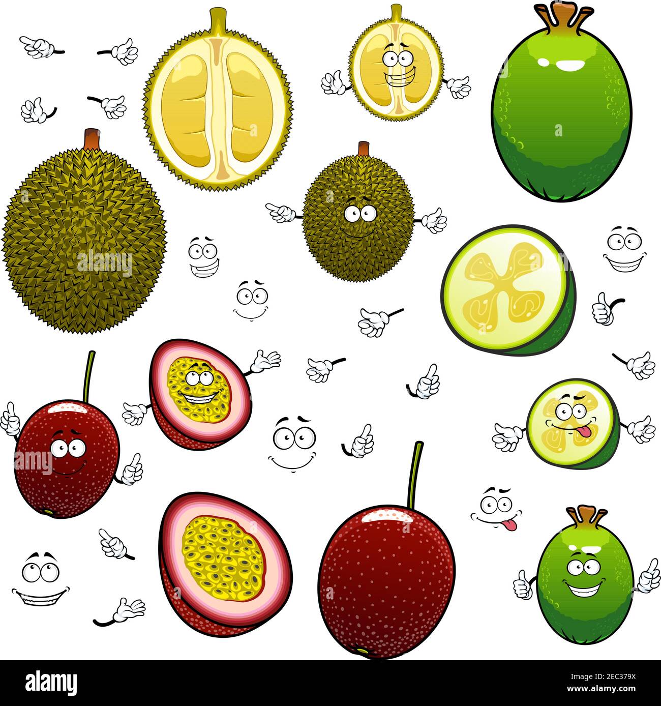 Southeast asian exotic fruits cartoon characters of whole and halves ...