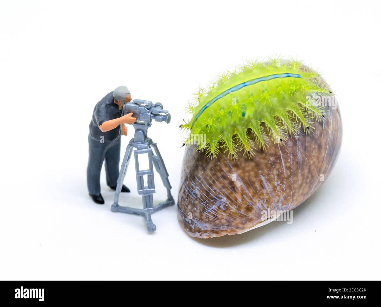 Miniature cameraman and green caterpillar. Operator at work shooting ...