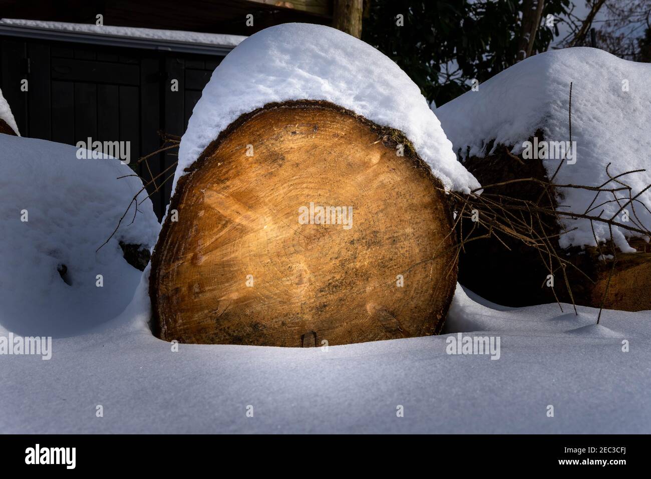 Log with a pile of snow on top Stock Photo - Alamy