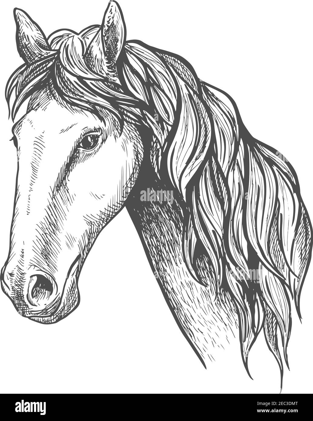 Long slender neck Black and White Stock Photos & Images - Alamy