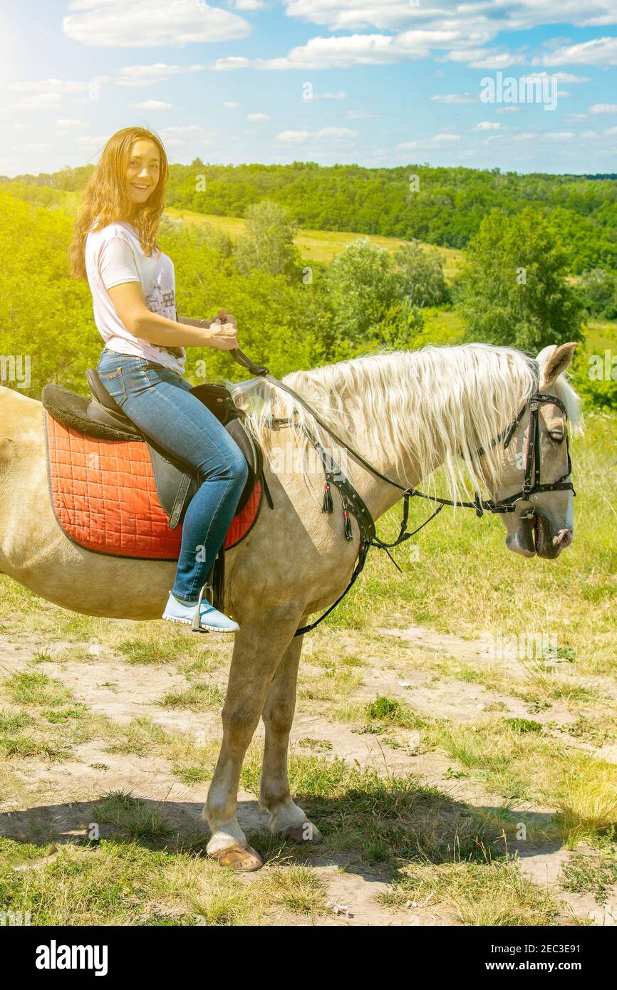 the rider on the white horse. Young horsewoman riding on white horse ...