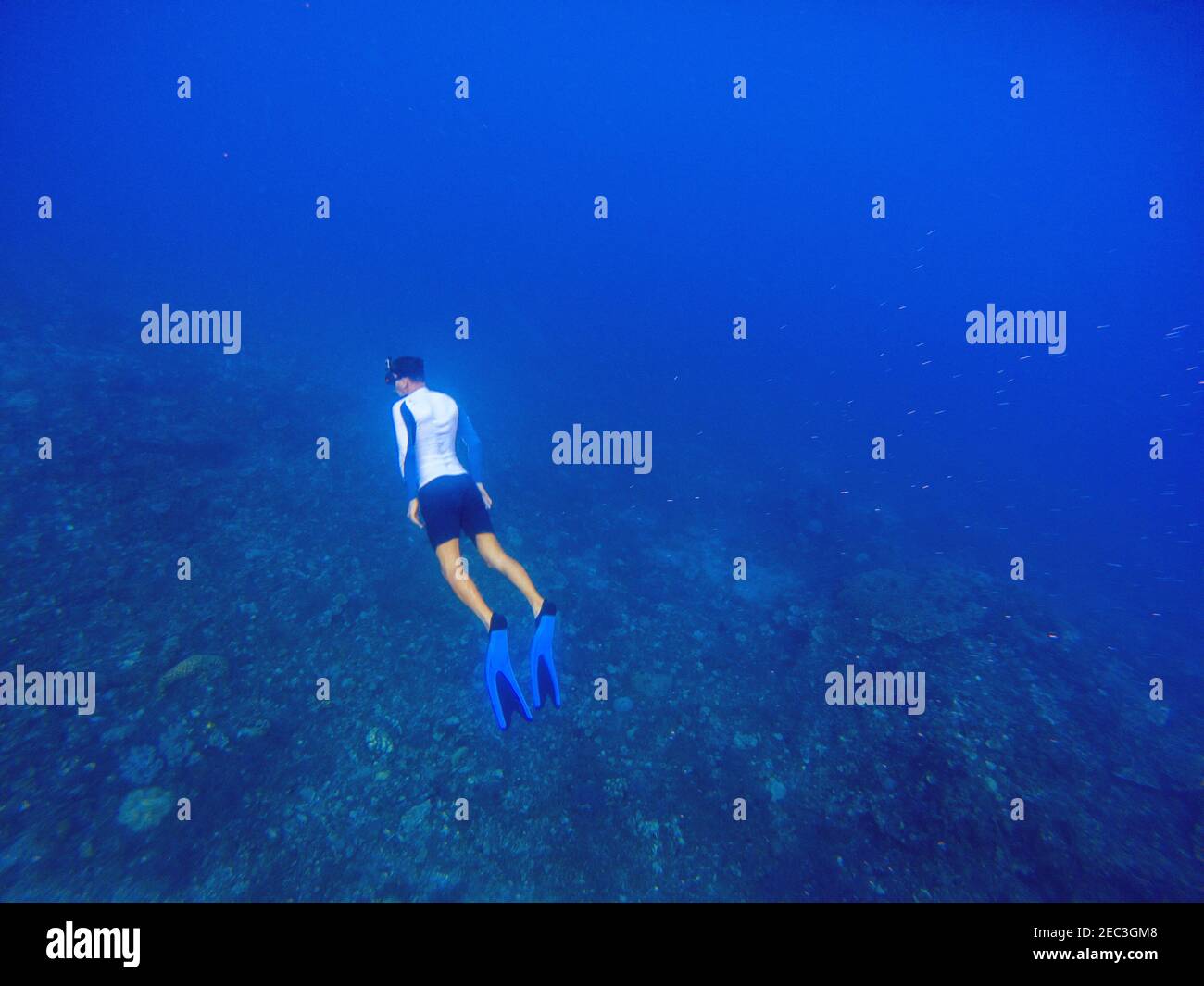 Freediver swims underwater in deep blue sea. Snorkeling man dives up to ...