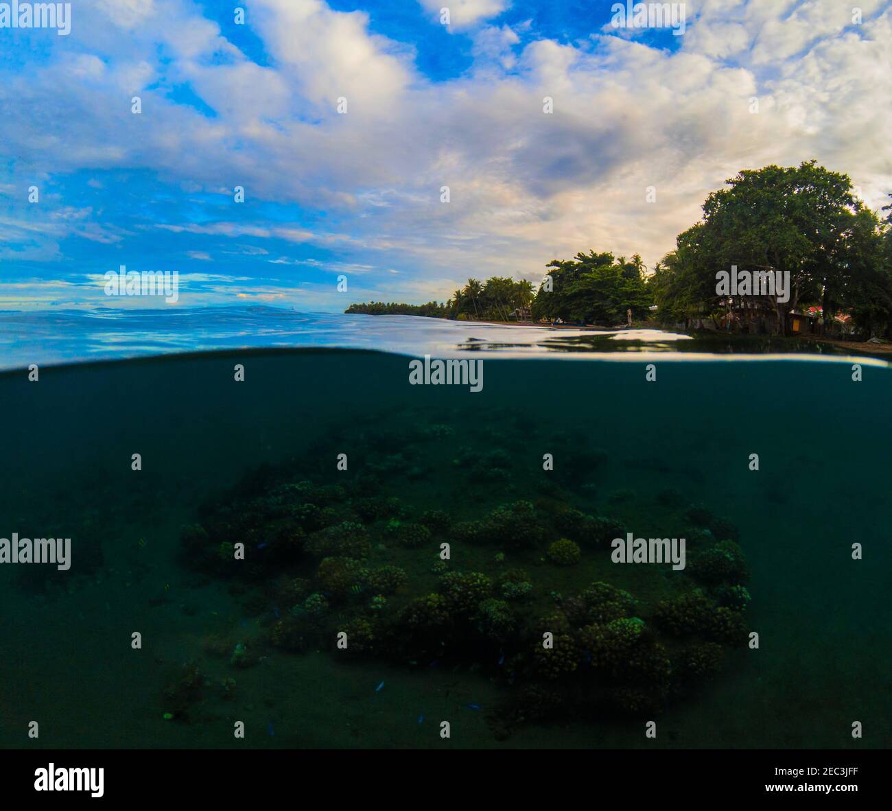 Double landscape with sea and sky. Above and below waterline in ...