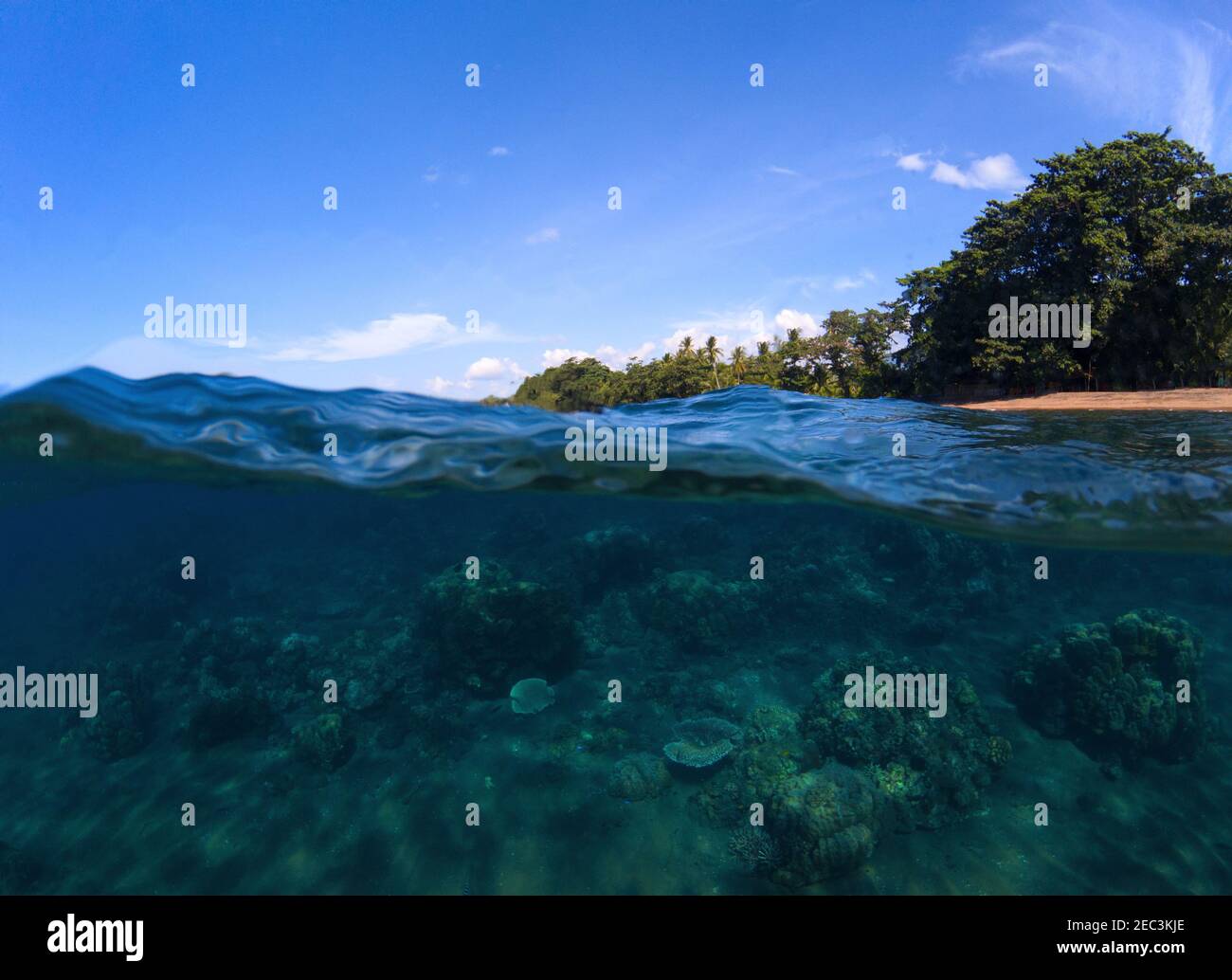Double landscape with sea and sky. Sea panorama split photo. Undersea ...
