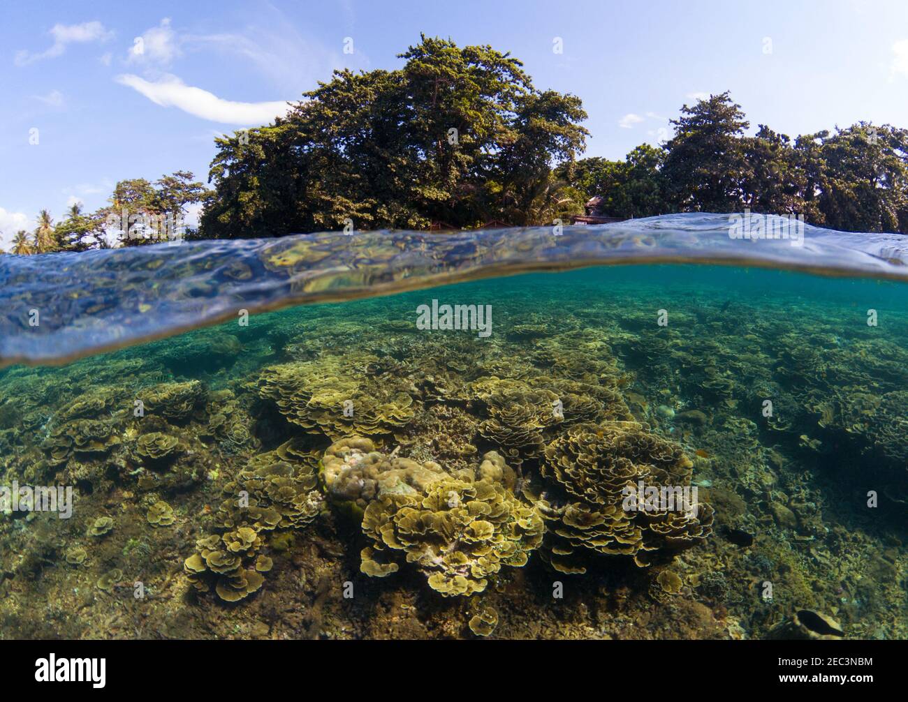 Double landscape with sea and sky. Seascape split photo. Tropical ...