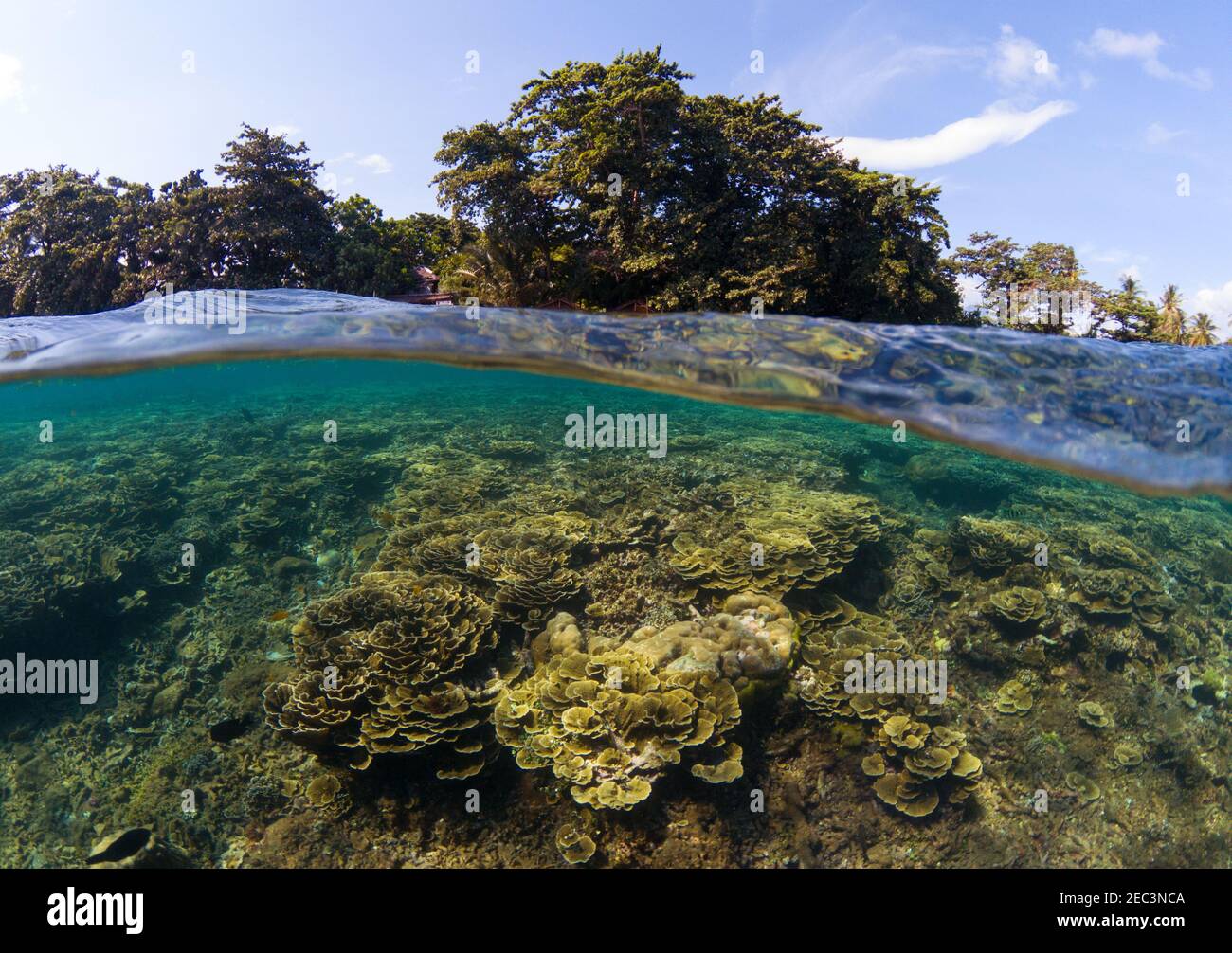 Double landscape with sea and sky. Seascape split photo. Tropical ...