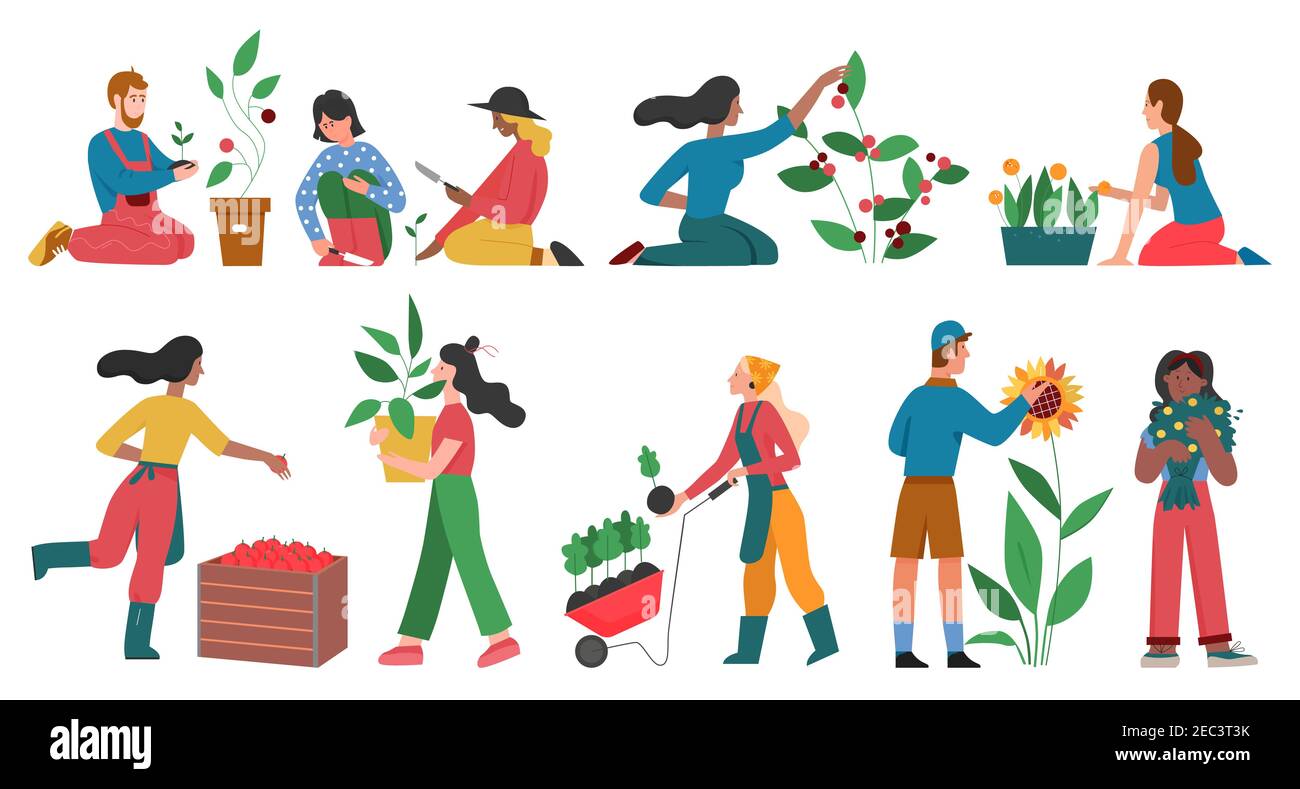 Plant garden woman planting Stock Vector Images - Alamy