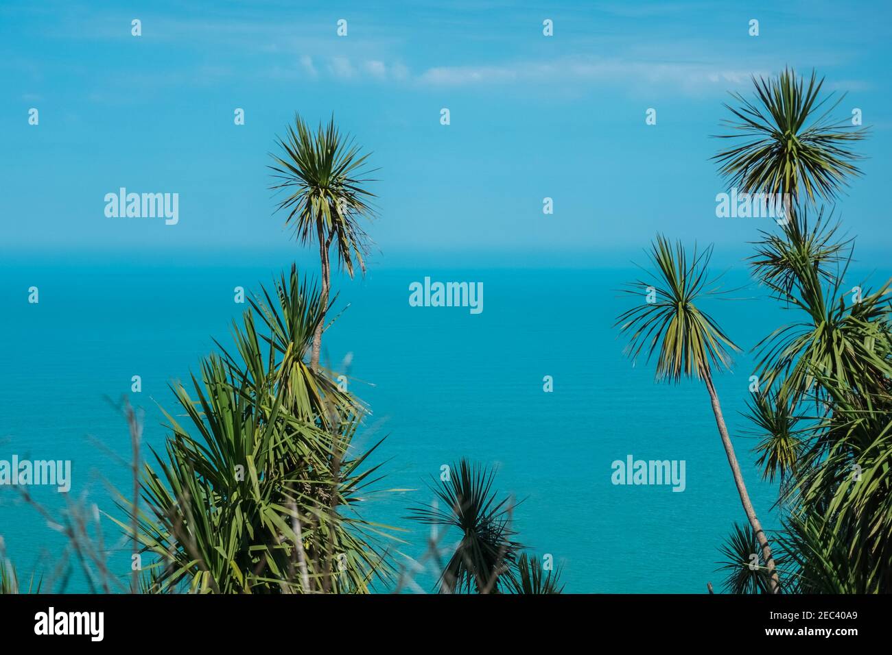 Palms on beach blue hi-res stock photography and images - Alamy