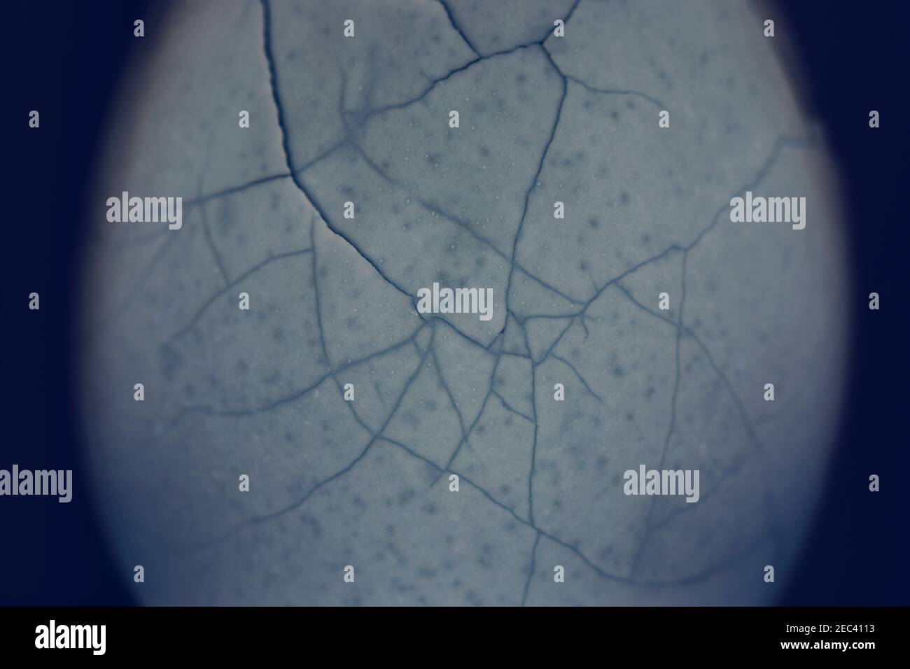 Cracked egg shell closeup texture. Crack eggshell inverted toned photo ...