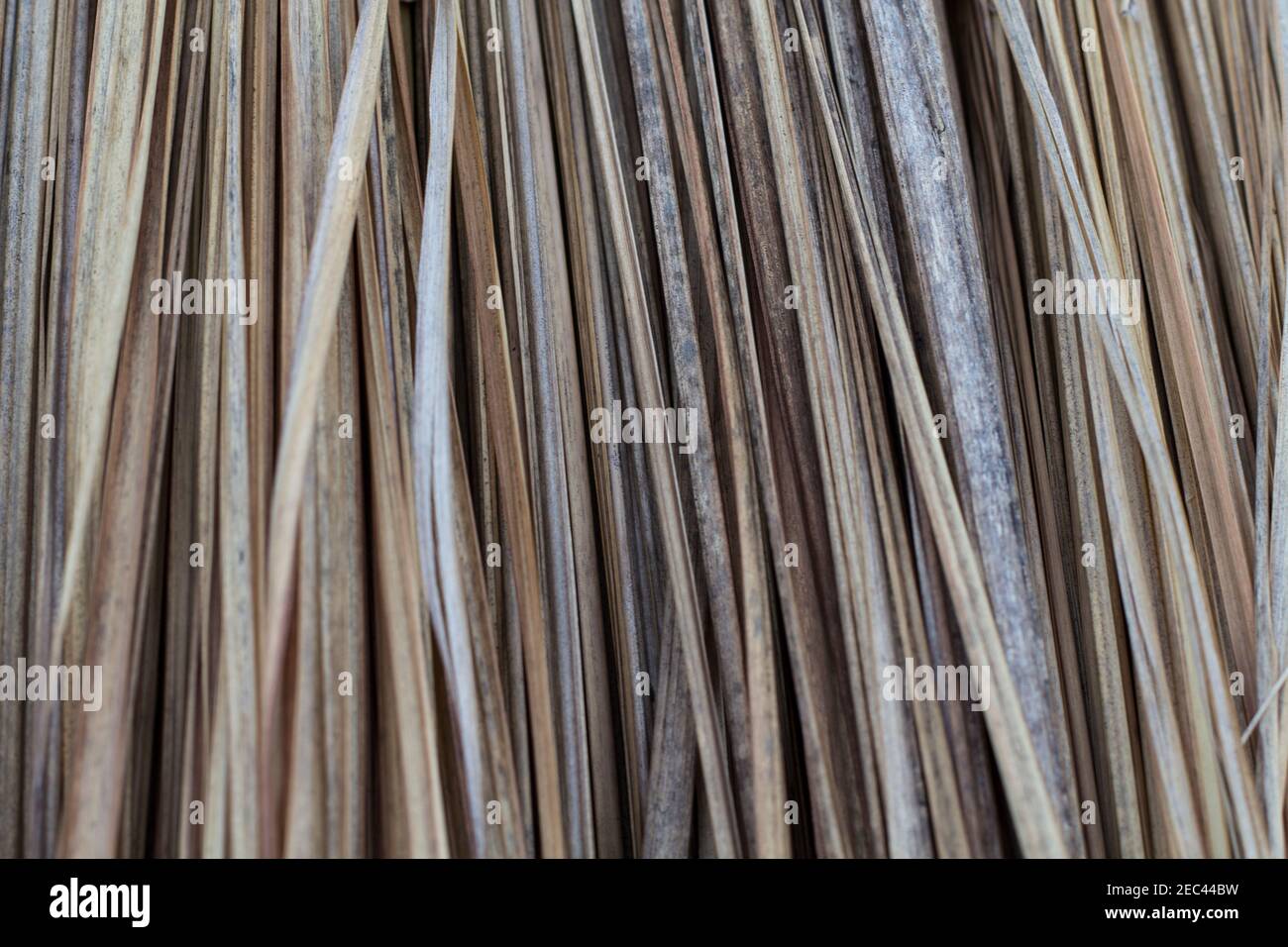 Dry palm leaf roof closeup. Palm roof photo texture. Natural texture of ...