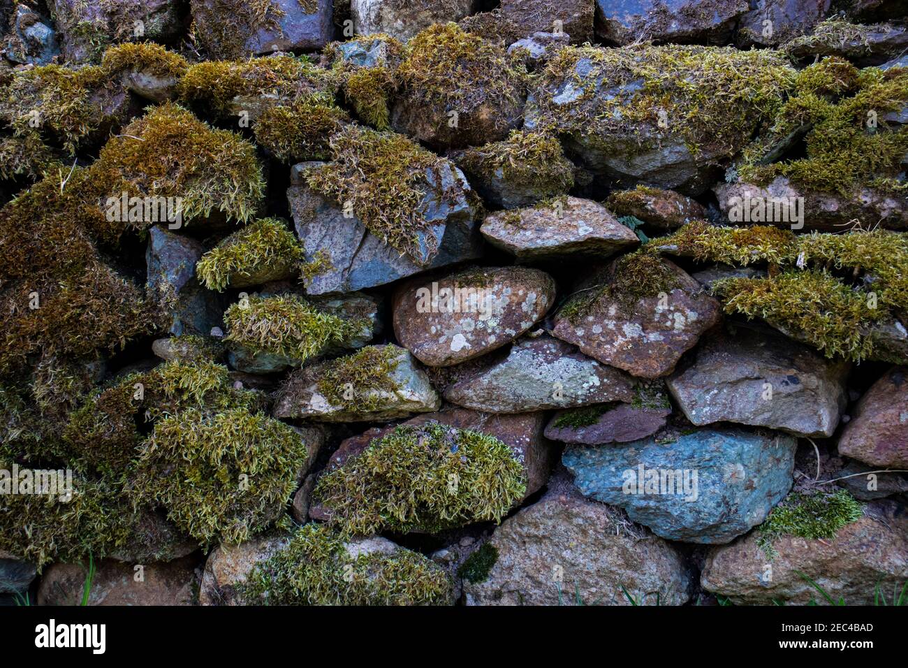 Medieval brick wall texture green hi-res stock photography and images ...