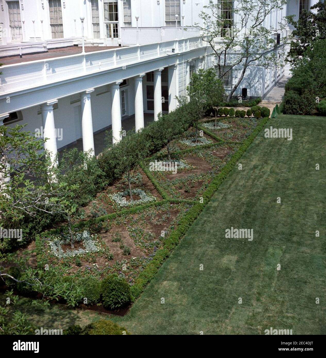 Rose Garden reconstruction, progress photos. View of the Rose Garden ...