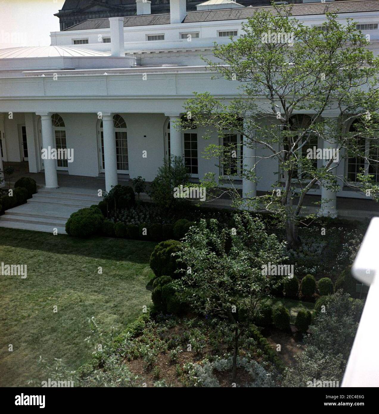 Rose Garden reconstruction, progress photos. View of the Rose Garden ...