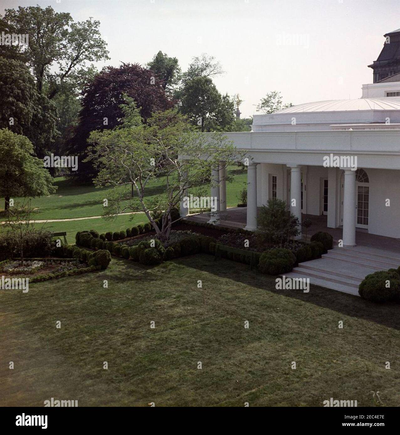 Rose Garden reconstruction, progress photos. View of the Rose Garden ...