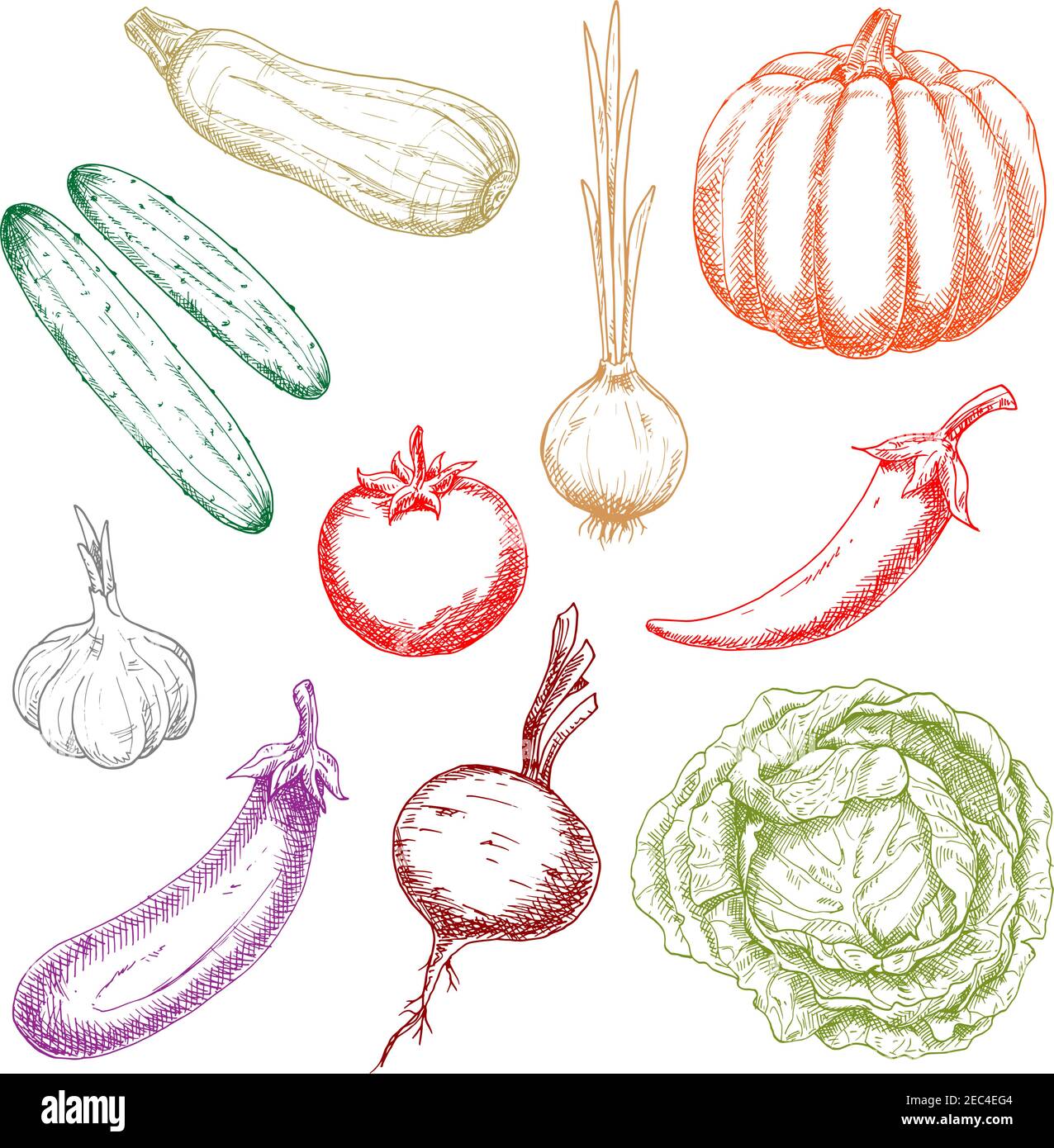 Ripe autumnal pumpkin and tomato, green crunchy cabbage and cucumbers ...