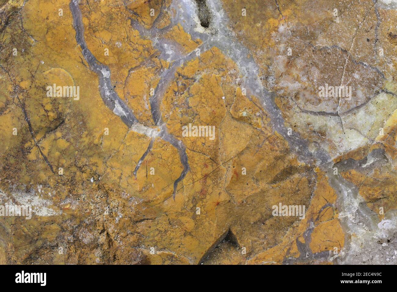 Jasper texture hi-res stock photography and images - Alamy
