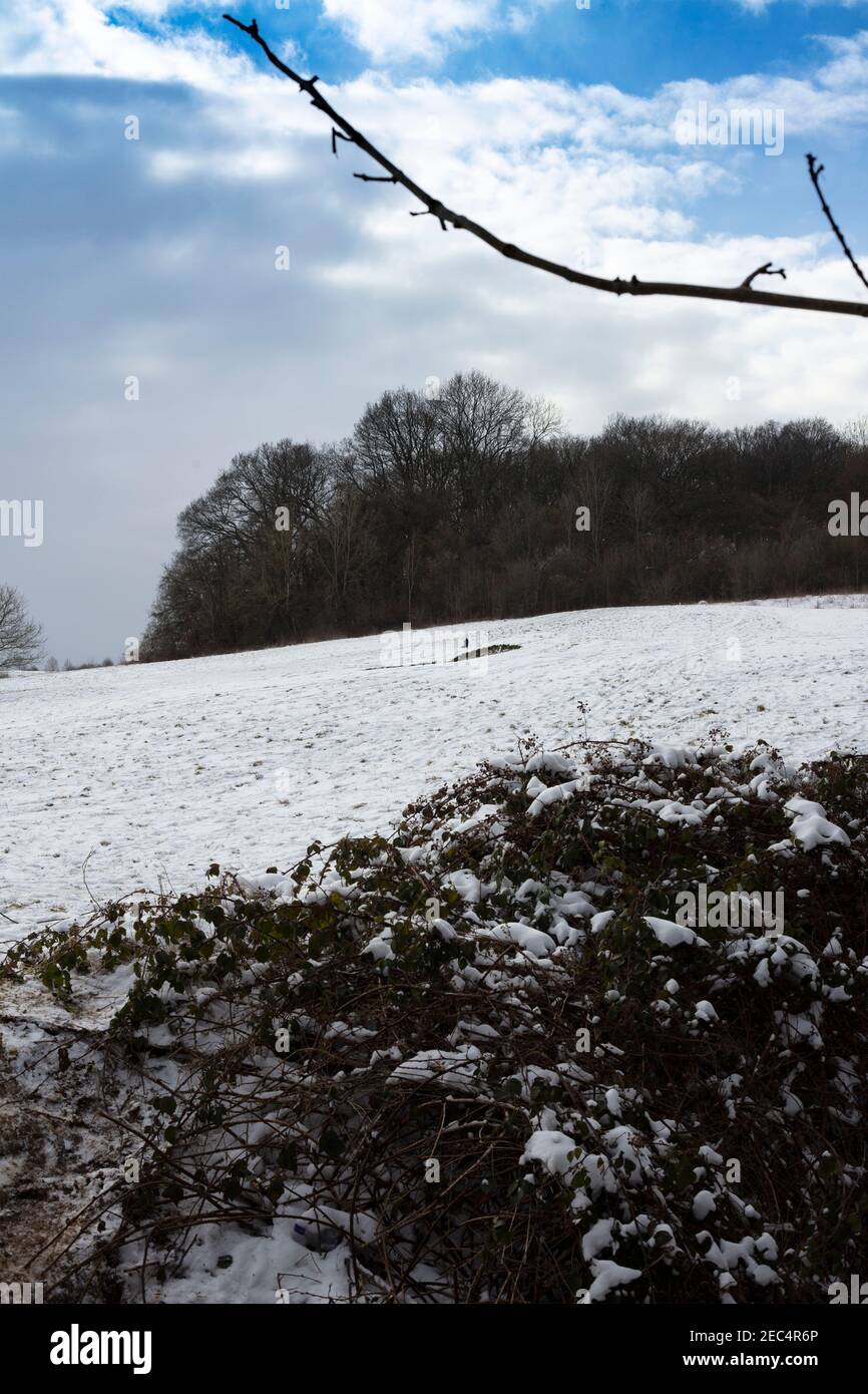 Snow covered open field with standing tree and moody grey/blue sky and ...