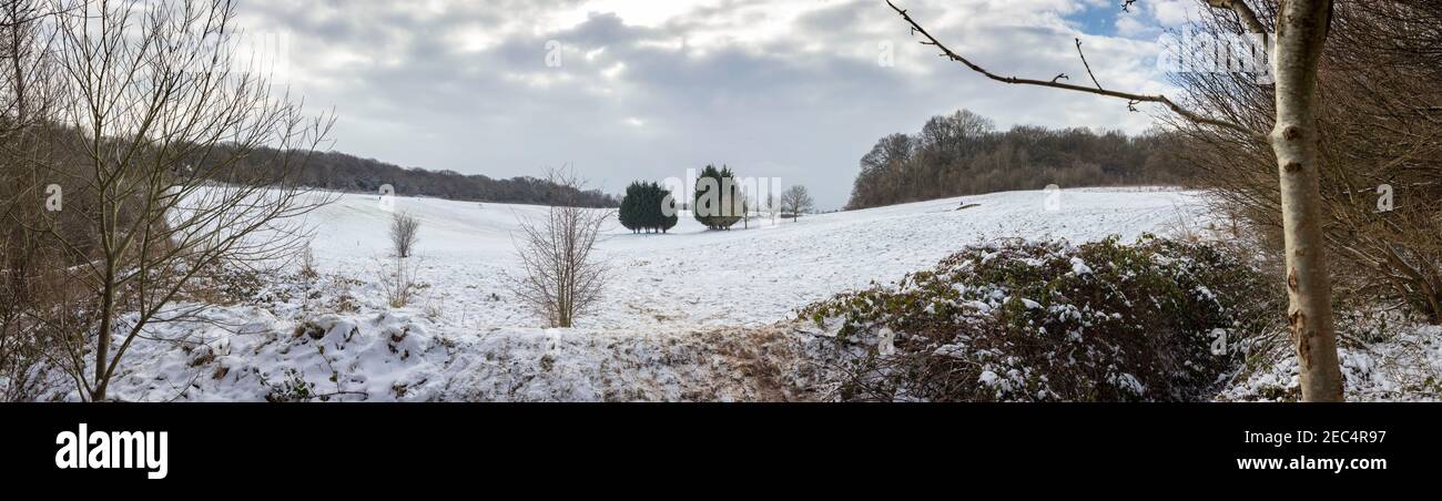 Snow covered open field with standing trees and moody grey/blue sky and ...