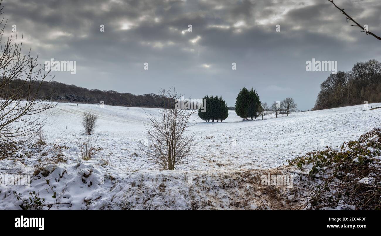 Snow covered open field with standing tree and moody grey/blue sky and ...
