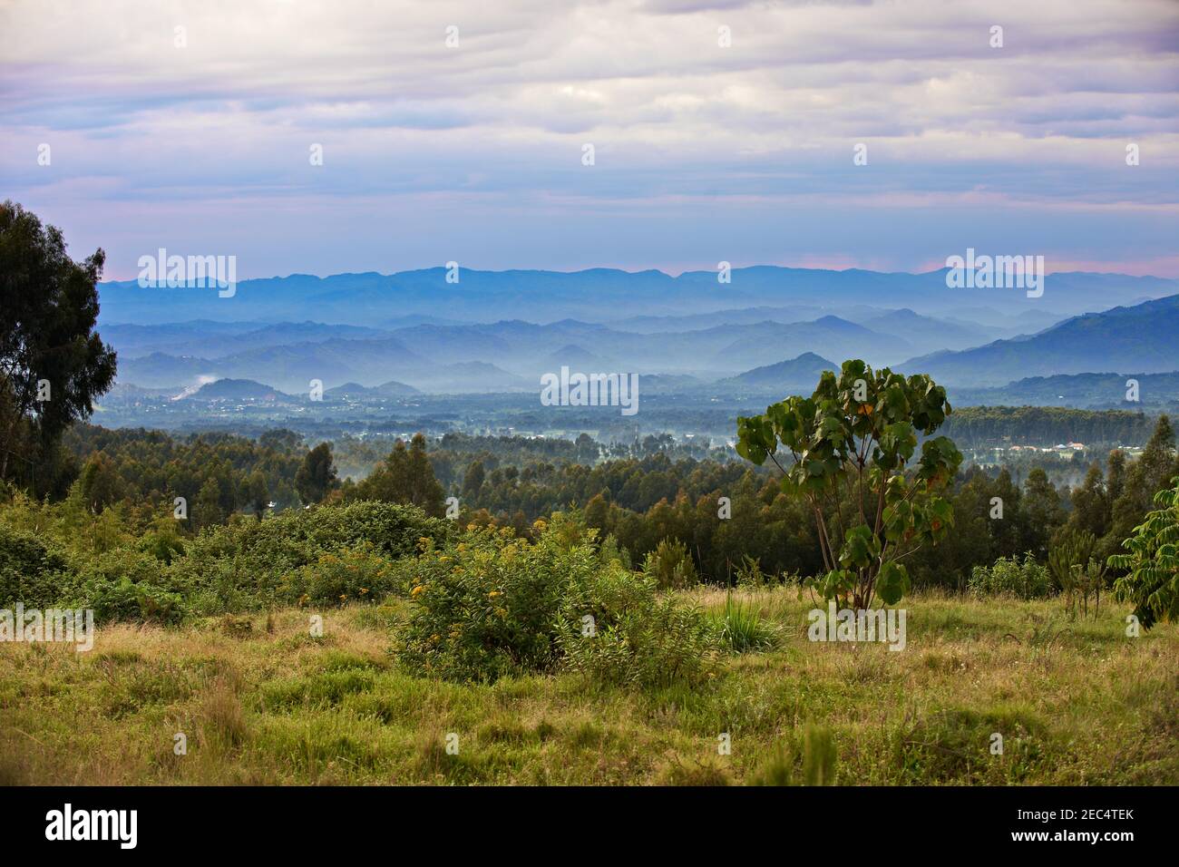 land of thousand hills, Landscape near Musanze, Rwanda, Africa Stock ...