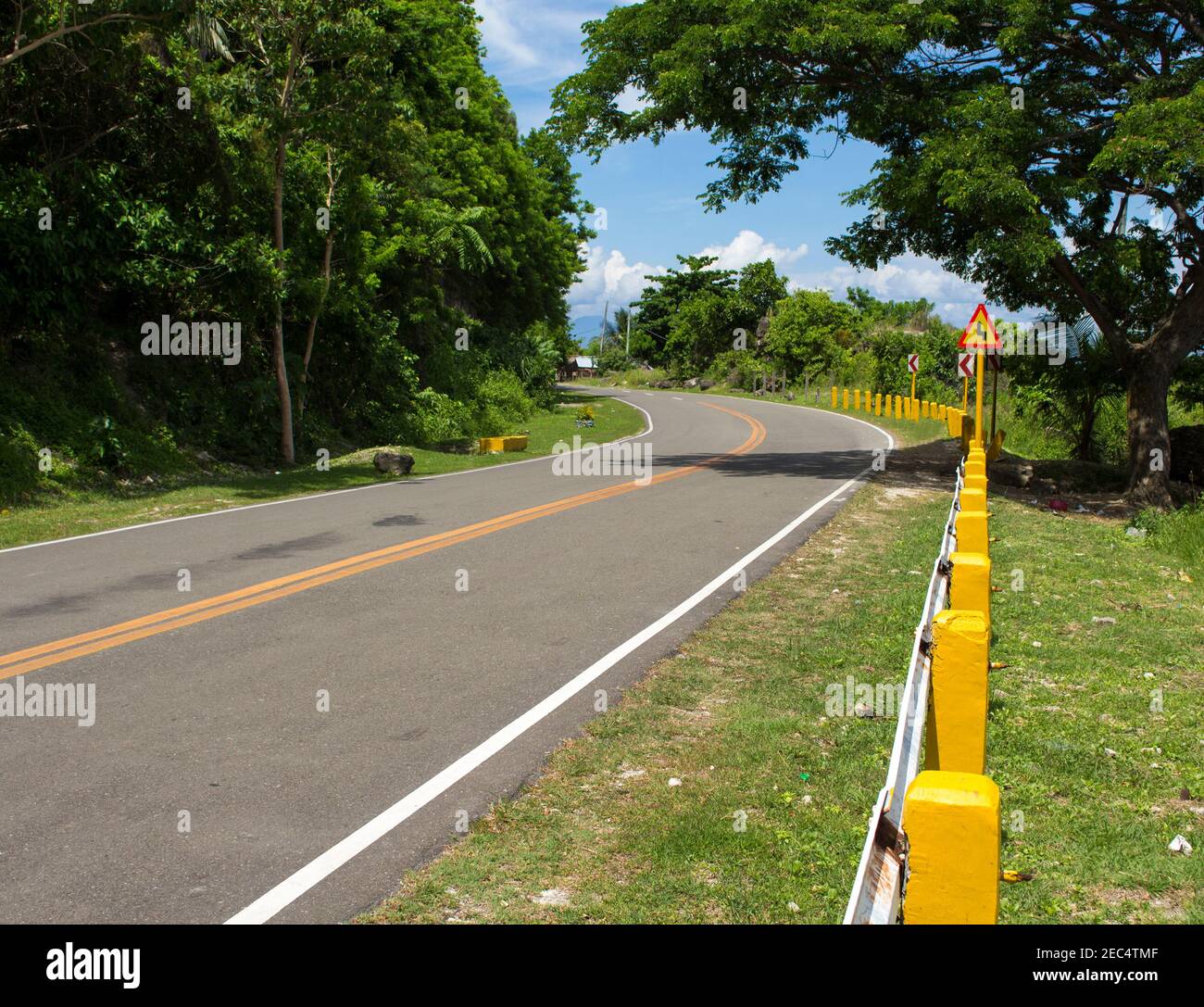 Summer landscape with road and green forest. Roadtrip in sunny day ...