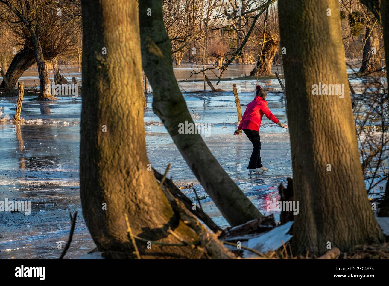 ice skaters on frozen field Stock Photo - Alamy