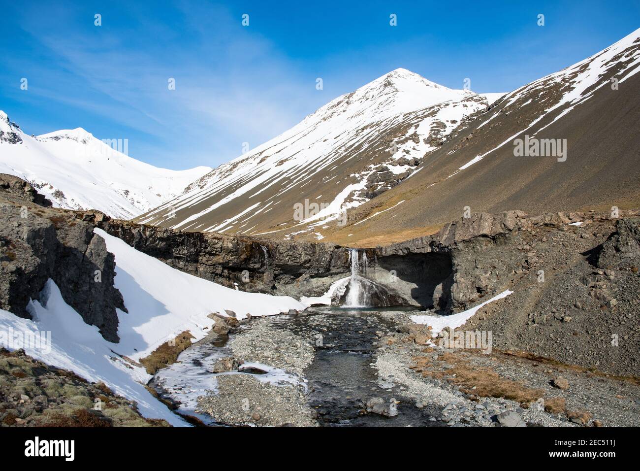 Skutafoss waterfall in the beautiful nature of east Iceland Stock Photo ...