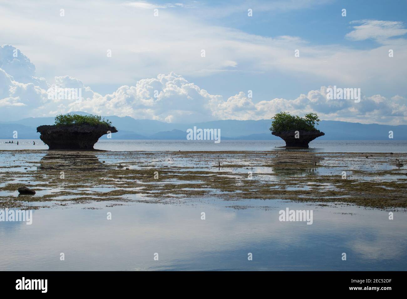 Seashore mountain. Sea rock formation. Small cliff with trees in sea ...
