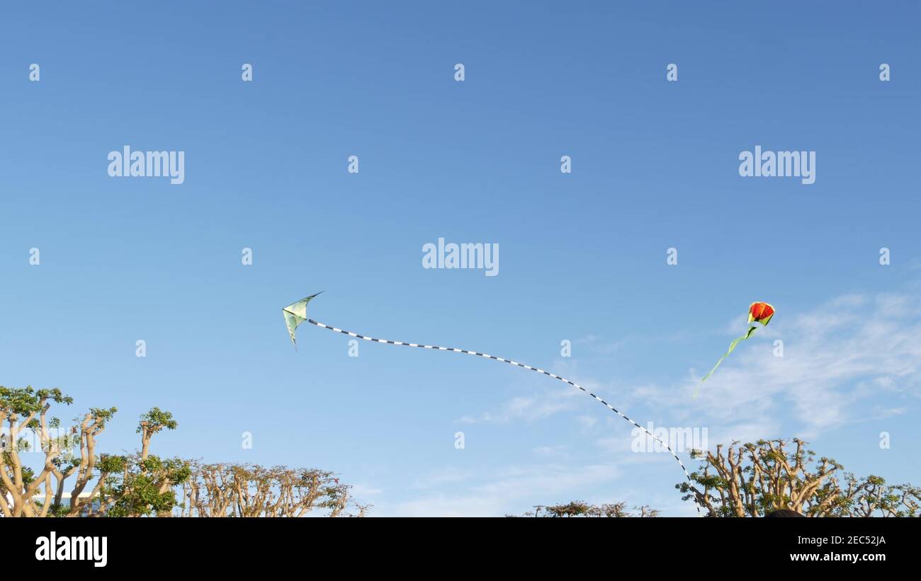 Colorful kite flying in blue sky over trees in Embarcadero Marina park ...