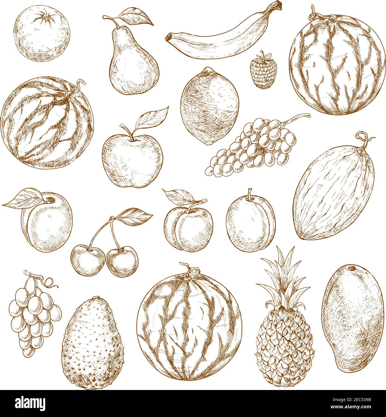 How To Draw Mango Fruit