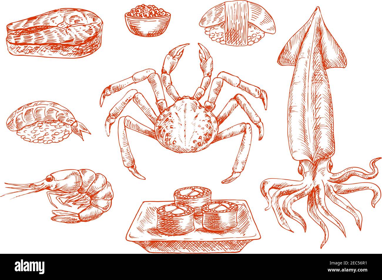 Sketch of raw seafood cuisine. Crab with claws and squid with tentacles ...