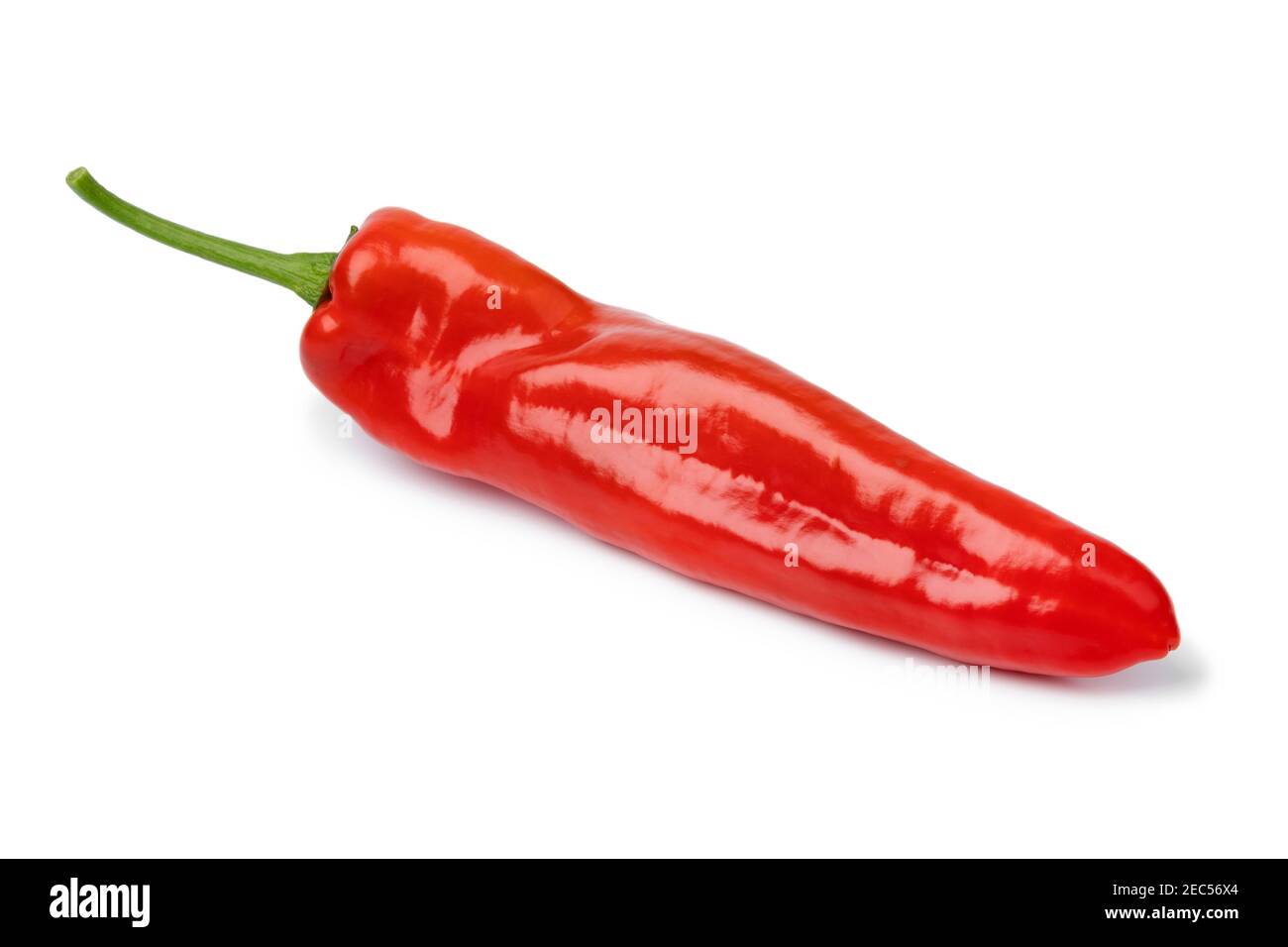 Single fresh red pointed pepper isolated on white background Stock ...