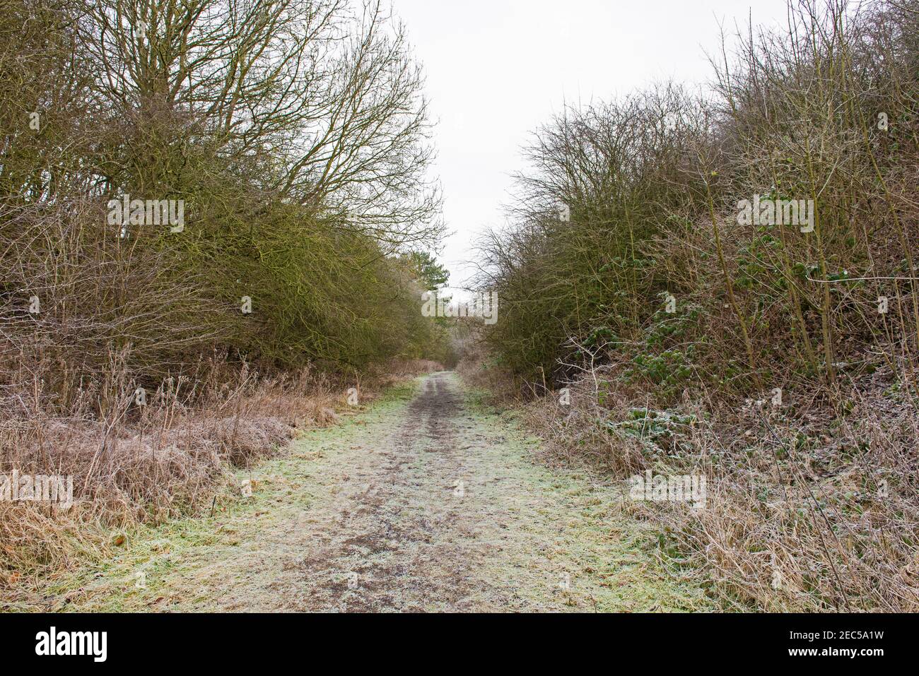 Footpath trail through a remote rural countryside landscape in winter ...