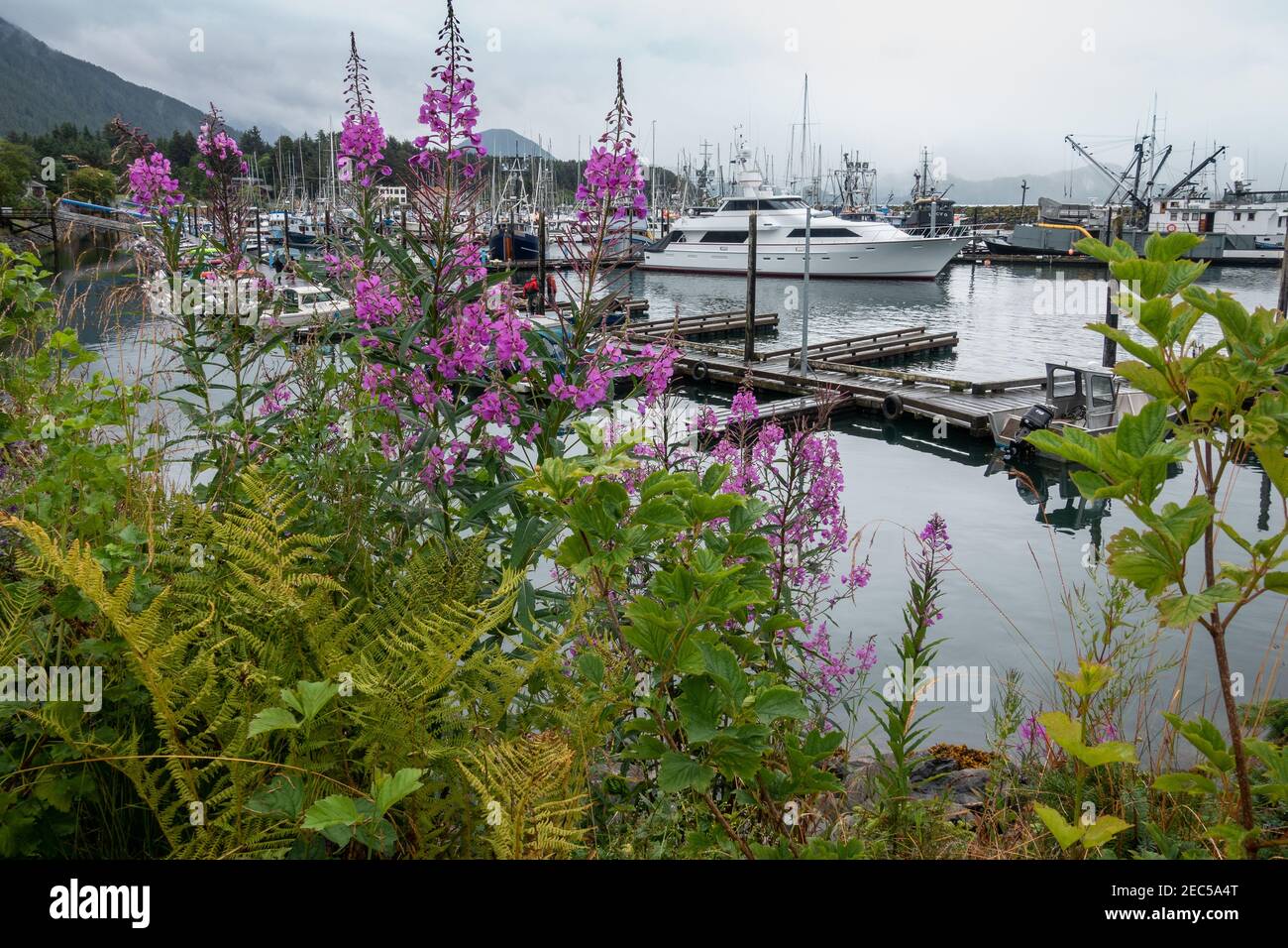 Alaska sitka boats harbor hi-res stock photography and images - Alamy