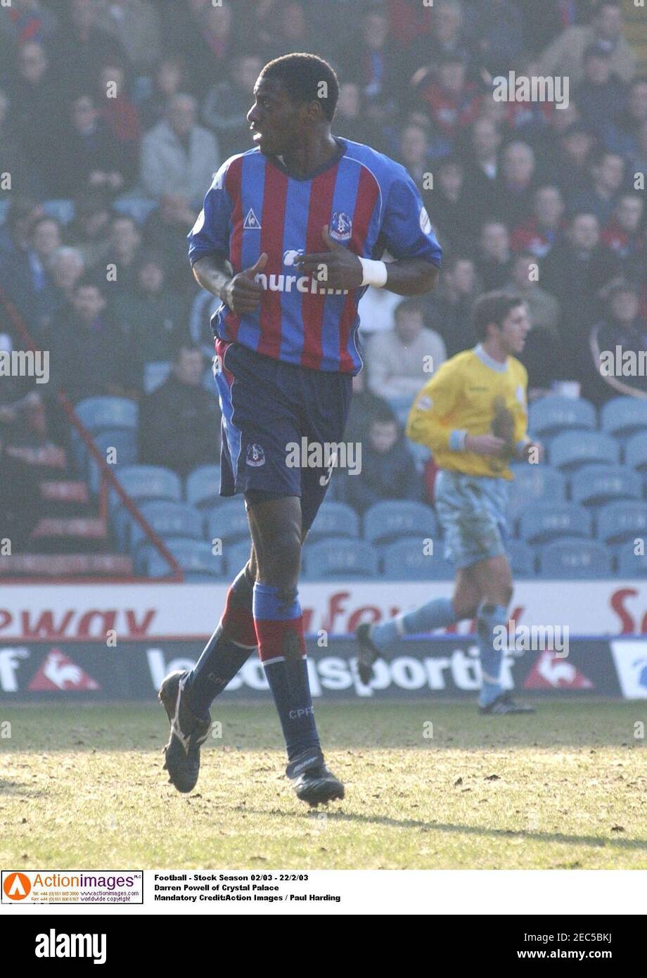 Darren powell crystal palace hi-res stock photography and images - Alamy