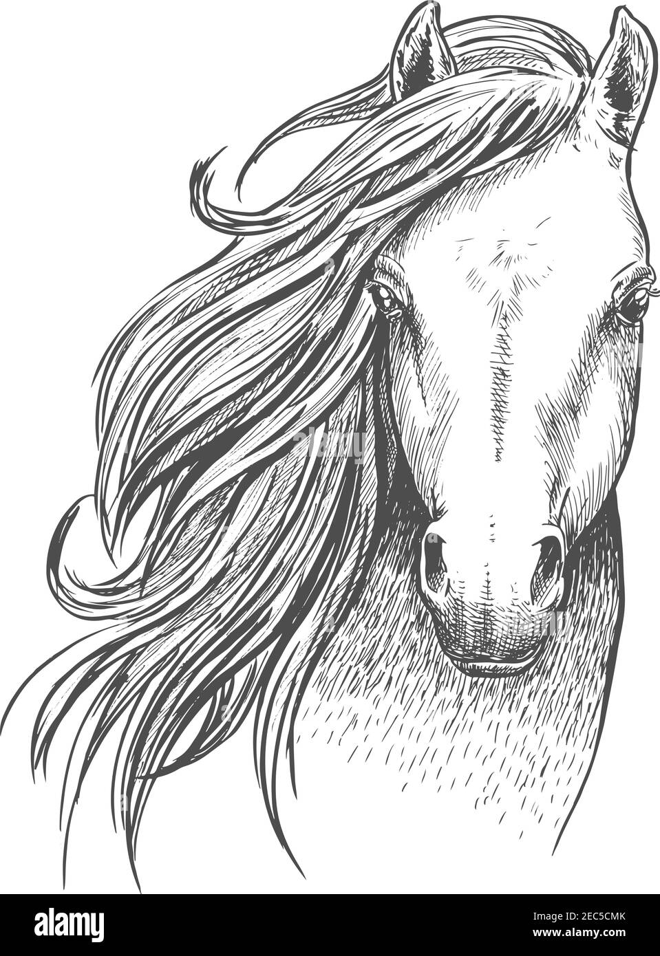 How To Draw A Mustang Horse Step By Step
