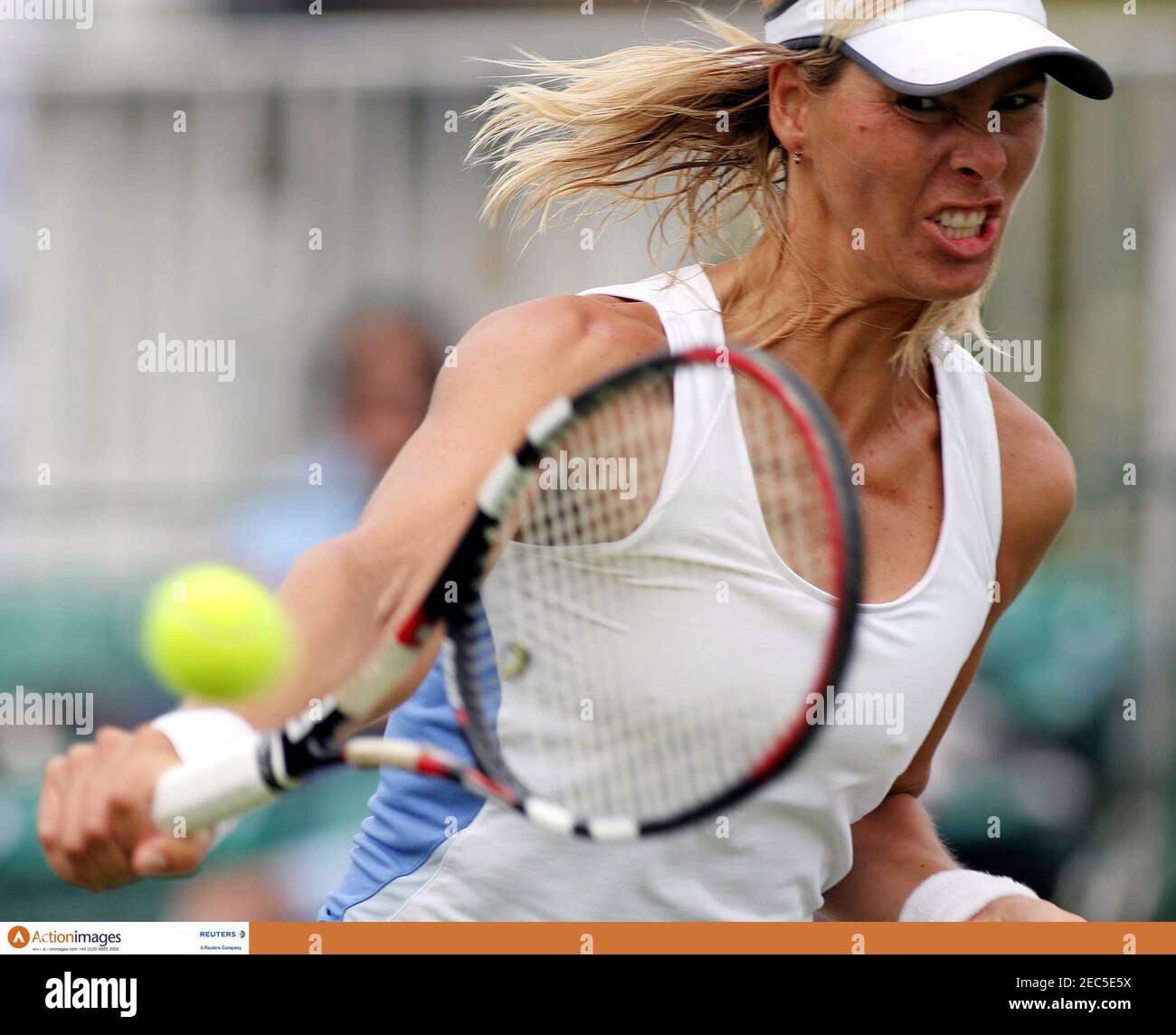 Brenda schultz mccarthy hi-res stock photography and images - Alamy