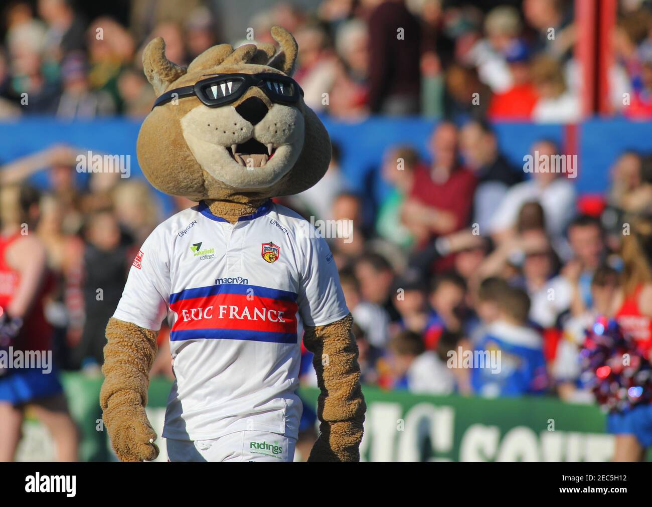 Huddersfield giants mascot hi-res stock photography and images - Alamy