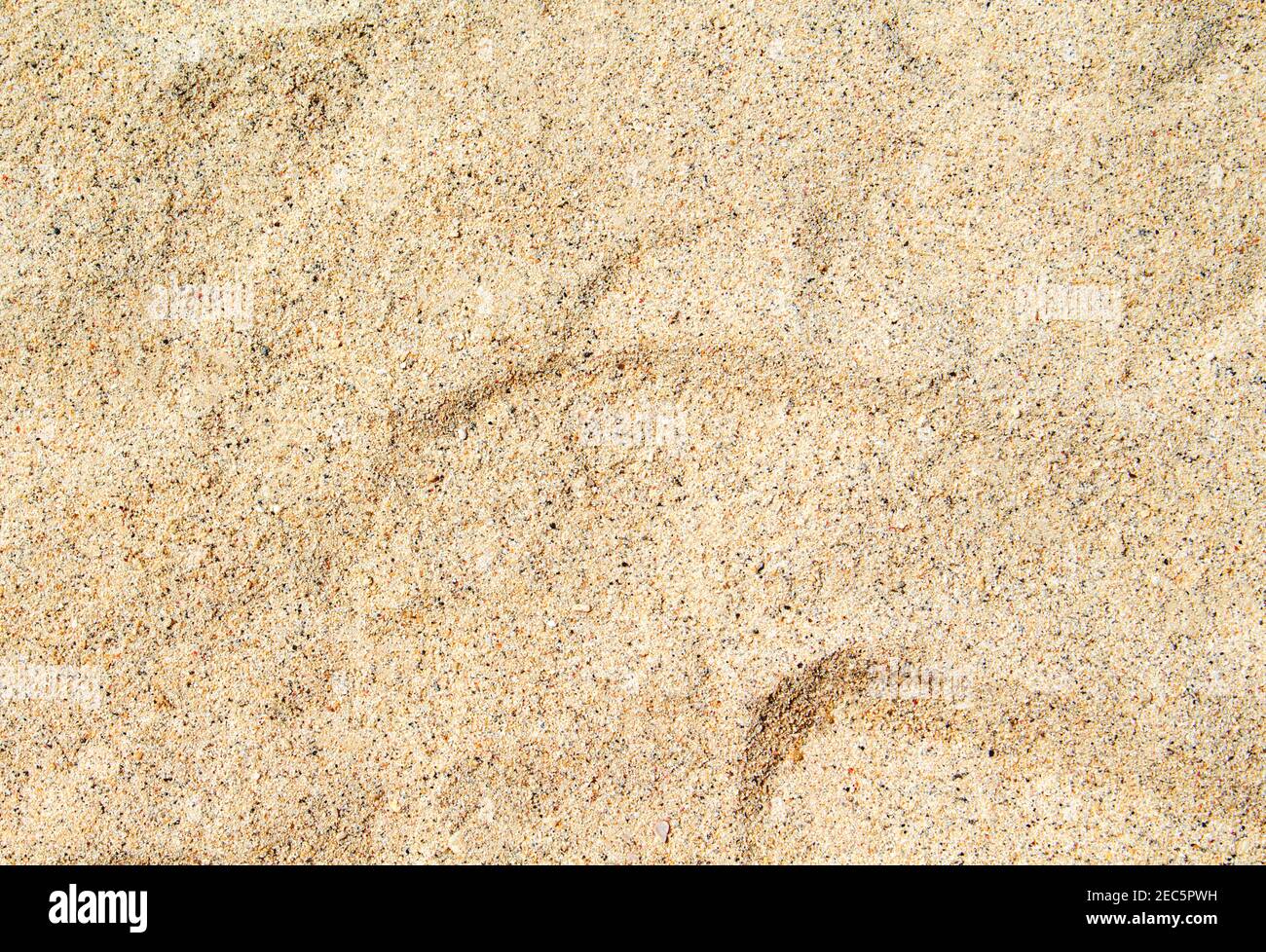 Warm beach sand closeup for background. Tropical beach photo. Exotic ...