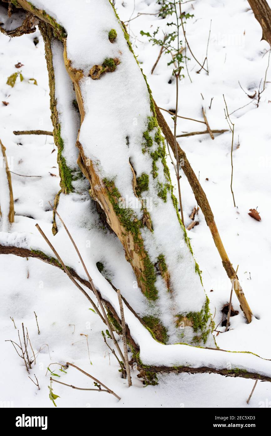 Weak consistency hi-res stock photography and images - Alamy