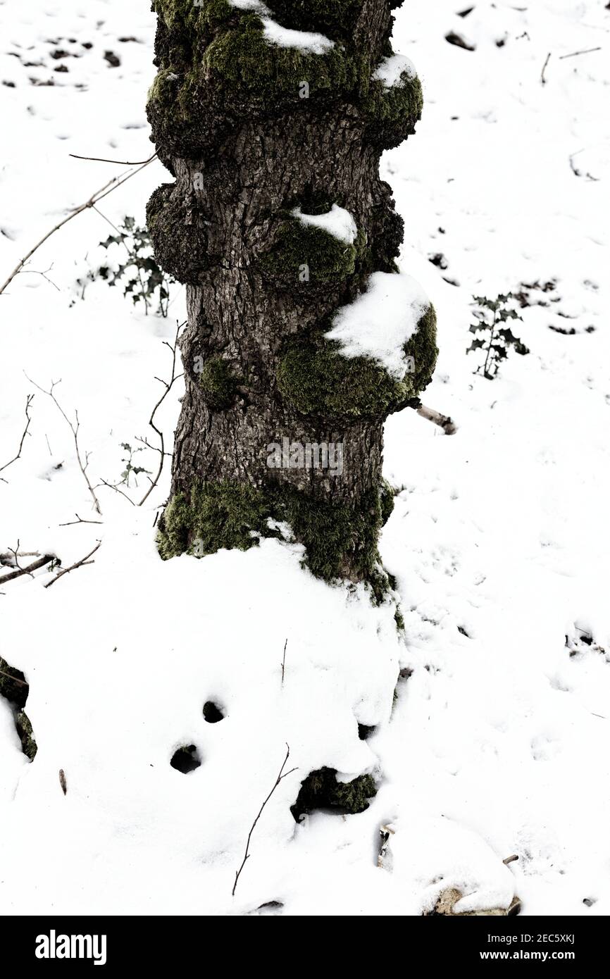 Weak consistency hi-res stock photography and images - Alamy