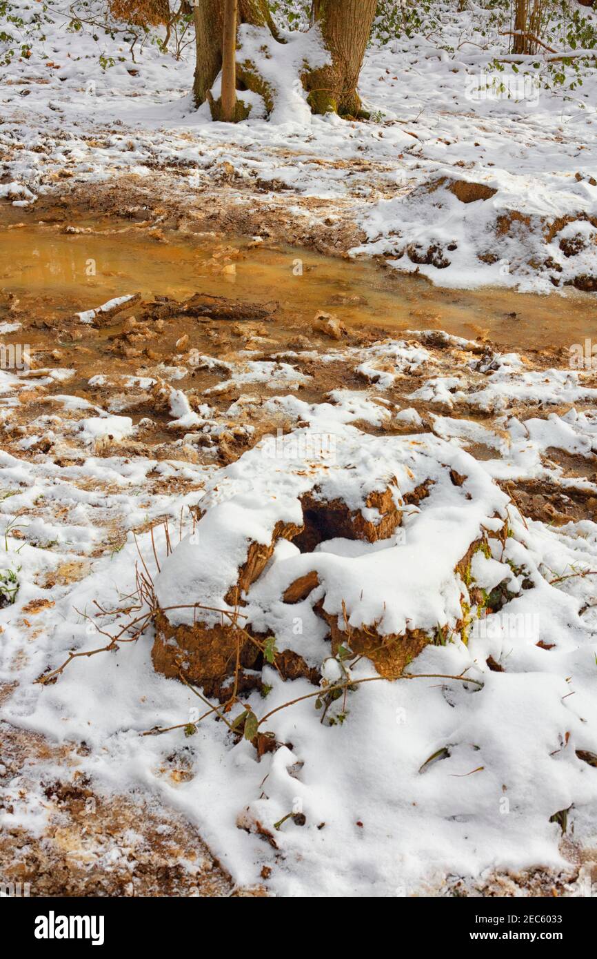 Weak consistency hi-res stock photography and images - Alamy