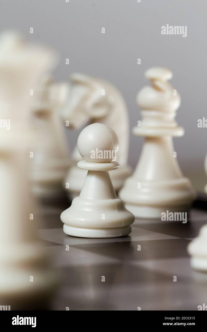 Chess figure pawn on the board. White chess figures Knight, Bishop ...