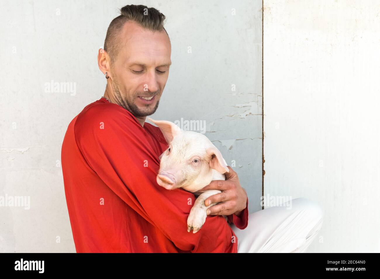 Man pig head hi-res stock photography and images - Alamy