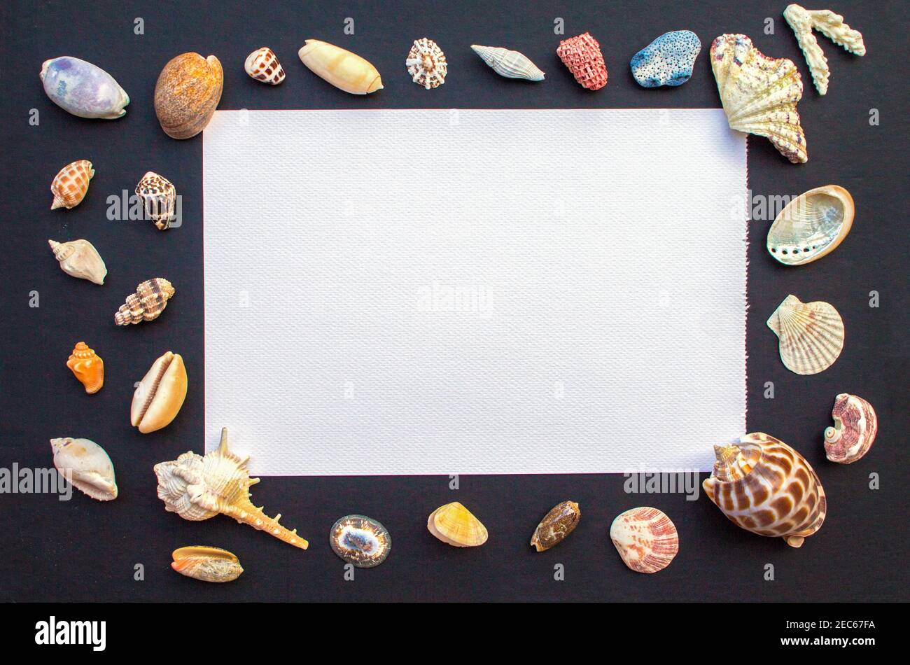 Black table with white paper and sea shells. Empty paper with shellfish ...