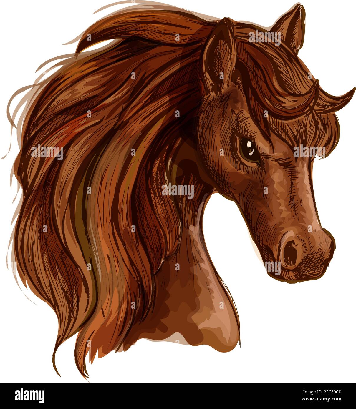 Horse Mane Clipart
